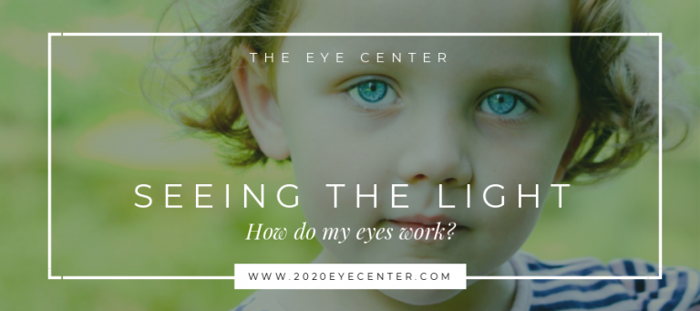 Seeing the light. How does my eye work? – The Eye Center
